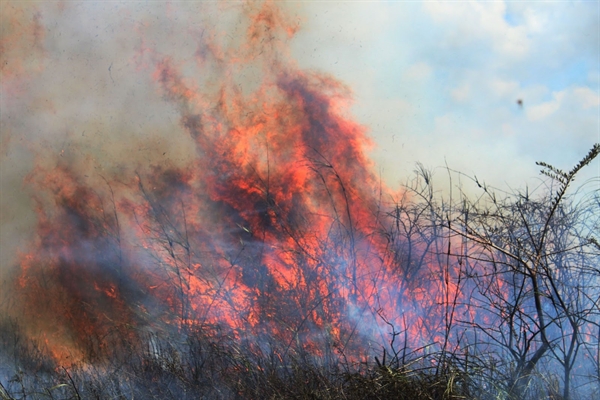 Agricultural burns, wildfires, and air quality in Mesoamerica ...