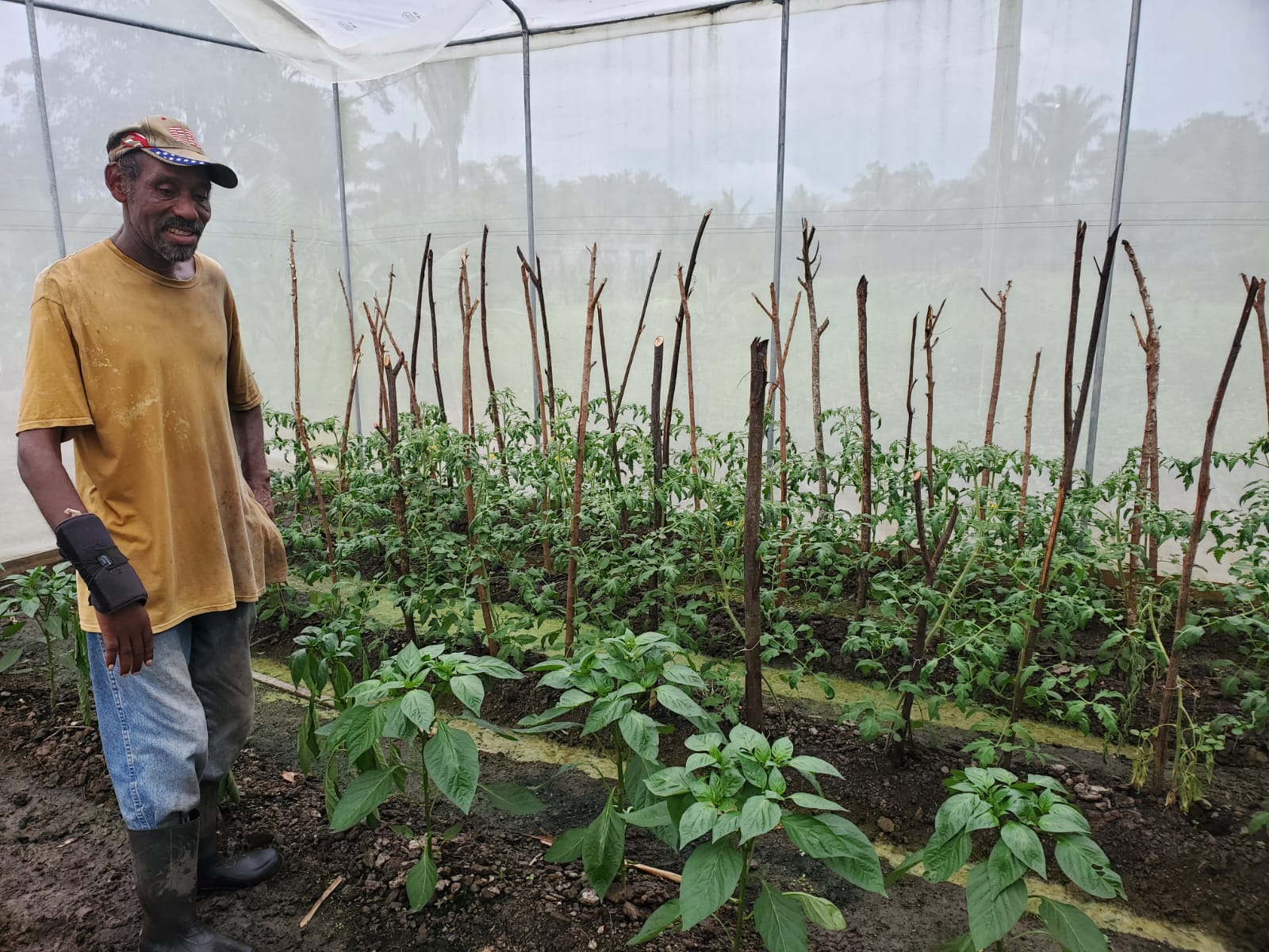 Impacting Lives in the Maya Forest Corridor > WCS Belize
